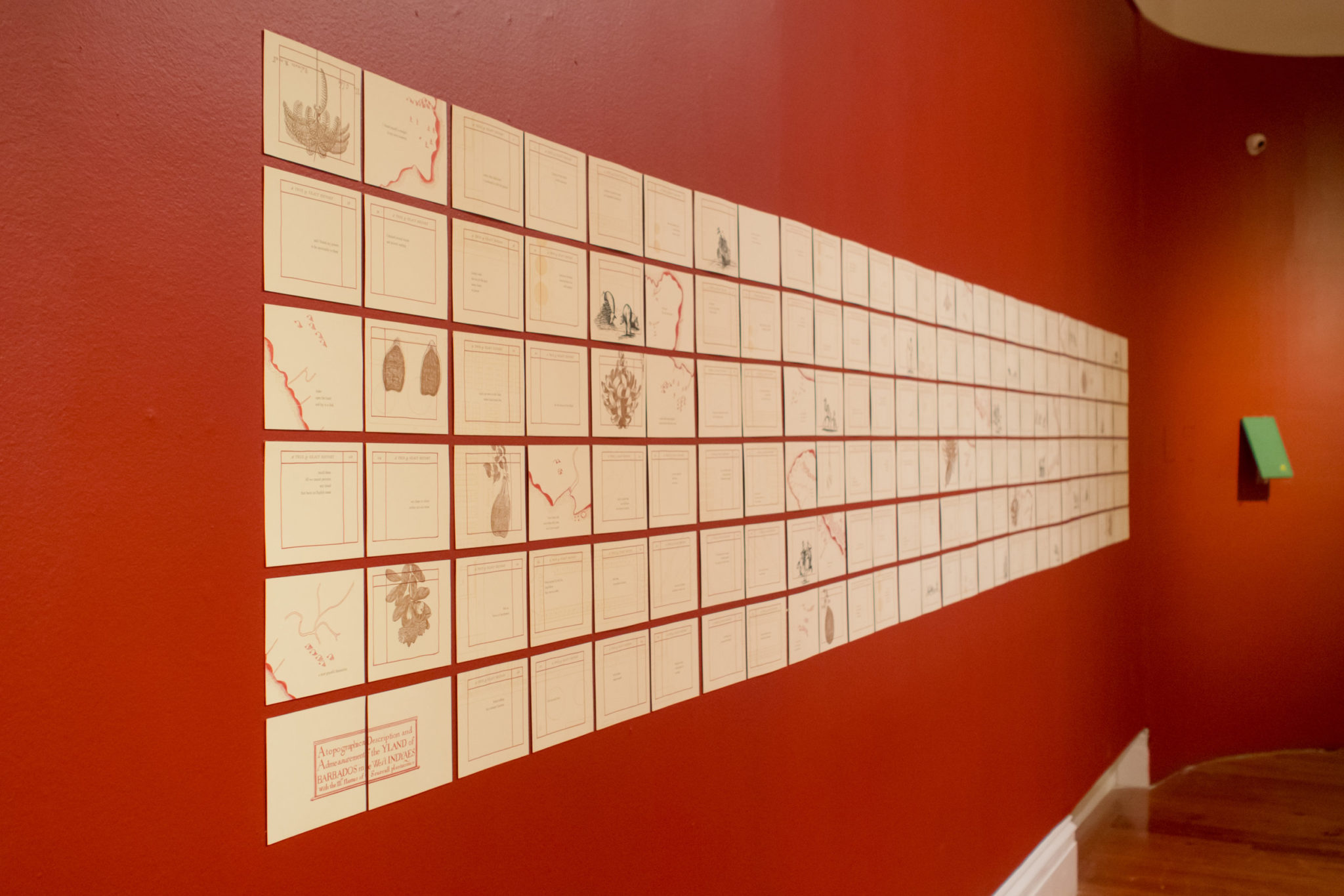 A Small Remainder of Teeth: Ecohorror and the Anti-Paradise - National ...